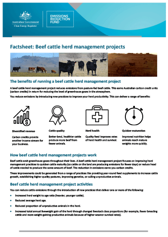 Factsheet: Beef cattle herd management projects | Queensland ...